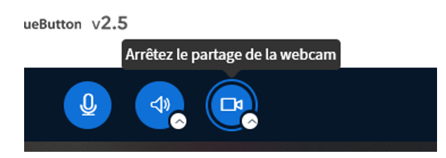 Utiliser la Classe Virtuelle (CV BigBlueButton) pour réunir un groupe d ...