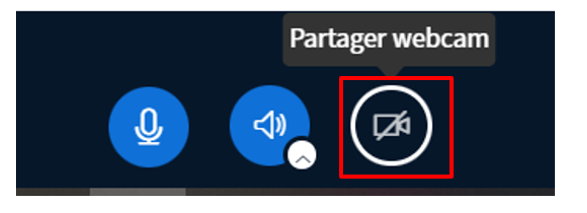 Utiliser la Classe Virtuelle (CV BigBlueButton) pour réunir un groupe d ...