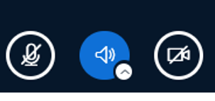 Utiliser la Classe Virtuelle (CV BigBlueButton) pour réunir un groupe d ...